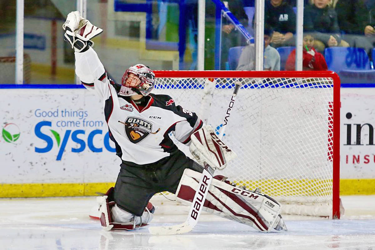 Kamloops Blazers blank Vancouver Giants | Maple Ridge News