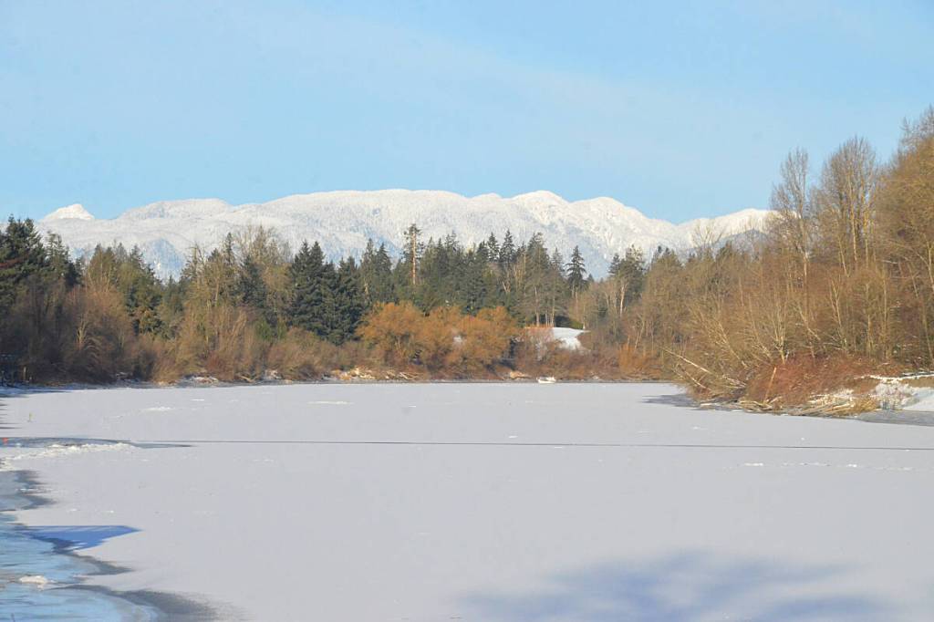 Fraser River freezes shore-to-shore between Langley and Maple Ridge ...