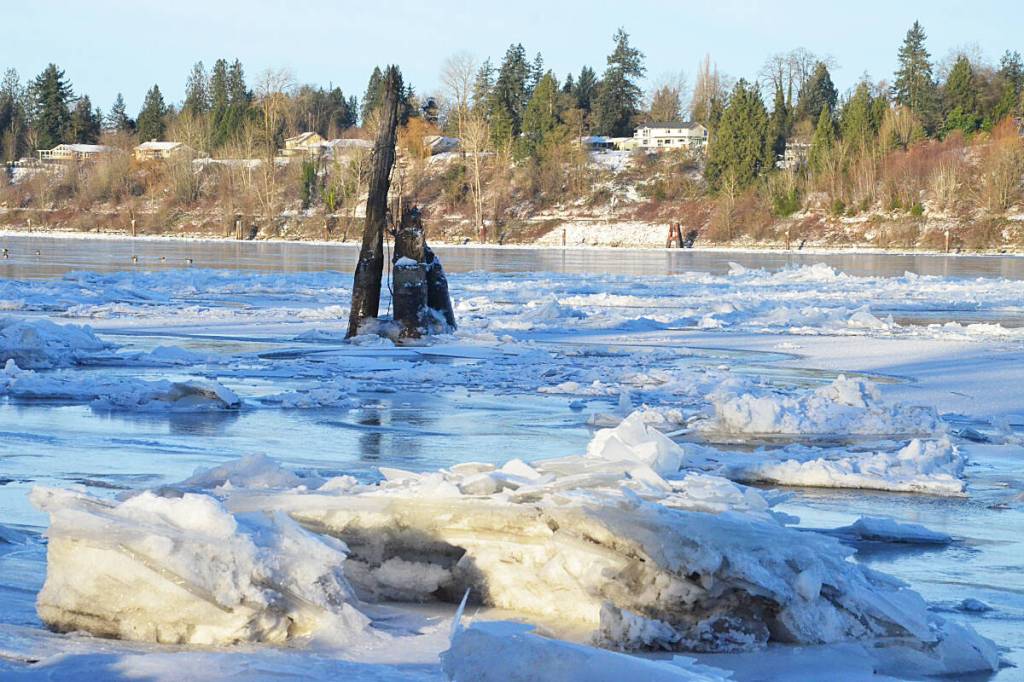 Fraser River freezes shore-to-shore between Langley and Maple Ridge ...