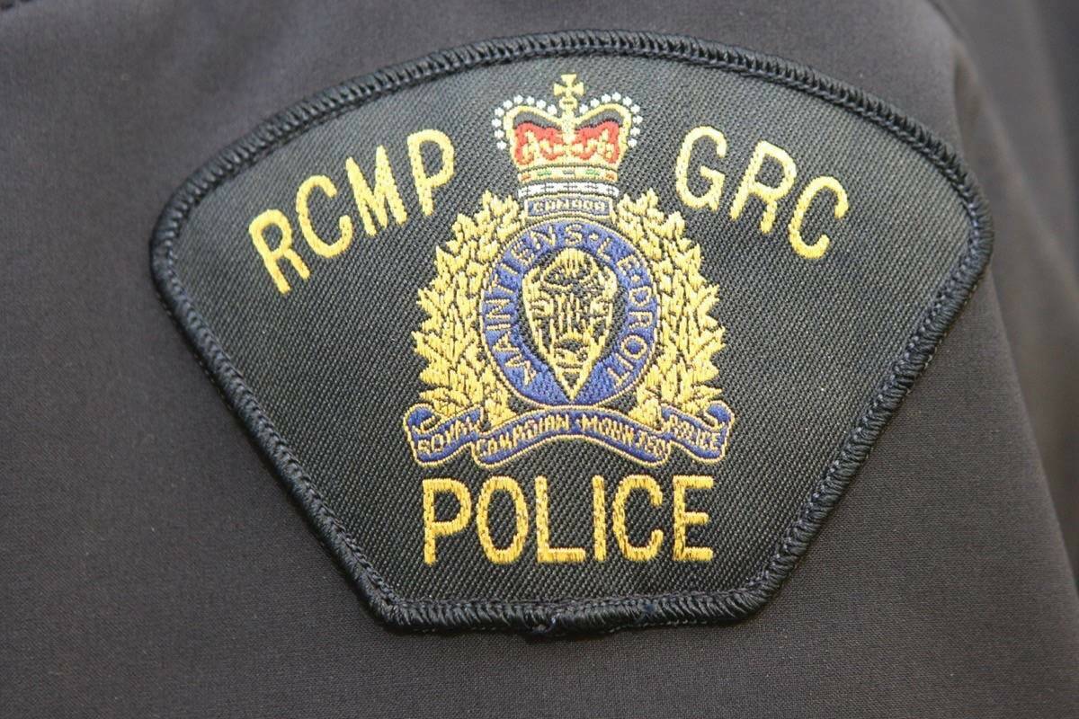 3 cattle poaching incidents spark RCMP livestock investigation | Maple ...