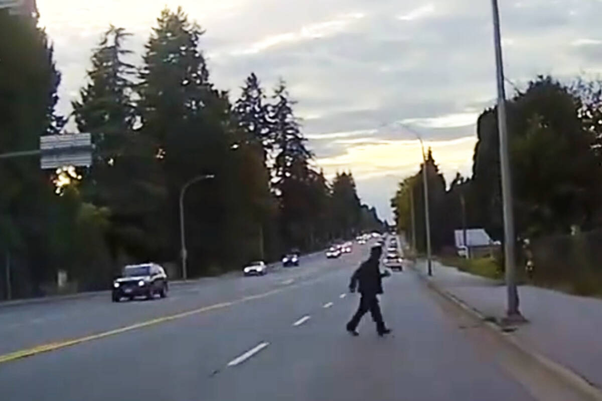 Ridge Meadows RCMP highlight pedestrian safety on Lougheed Highway ...